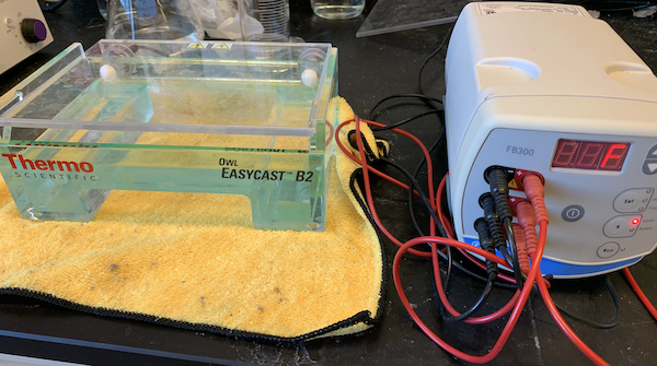 | Labcompare Product Review. Gel Casting System with Buffer Exchange Ports | Labcompare.com